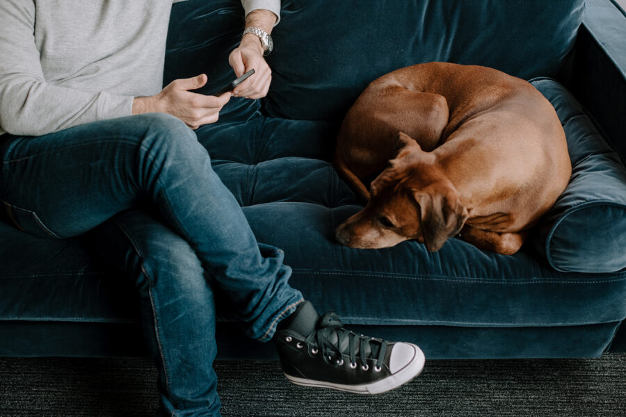 What is insulbrick? What Home Buyers Need to Know | Real Estate Blog