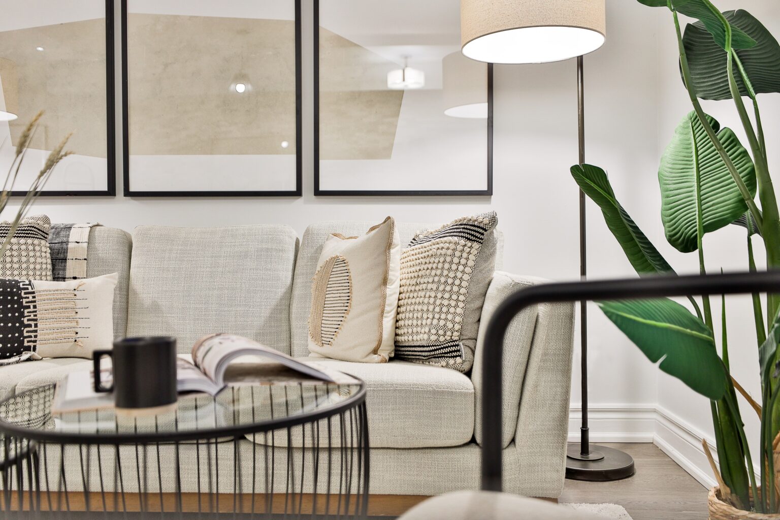 TH502-5 Shank Street | Fox Marin